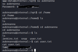Tryhackme – Internal Walkthrough - InfoSecJake